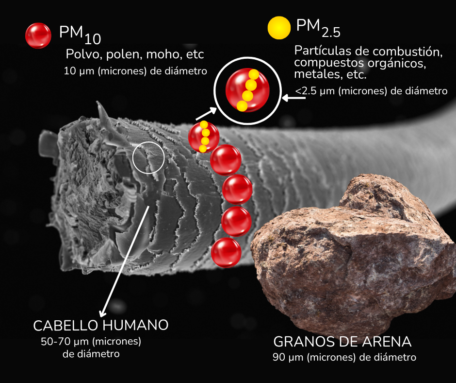 Trenes para carbón y contaminación por PM2,5 | Centro de Ciencias de ...